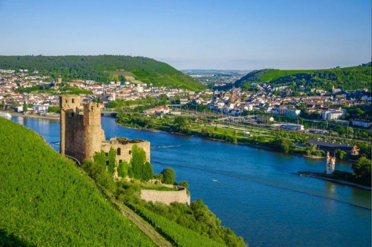 2 - 5 Nächte im 3*-Hotel am Rhein inkl. Halbpension, 1 Flasche Riesling ...