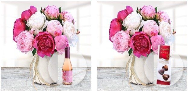 Ausgewählte Pfingst-Rosen mit 20% Rabatt + keine Versandkosten