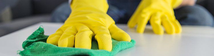 Das ganze Zuhause schnell und günstig mit Hausmitteln putzen