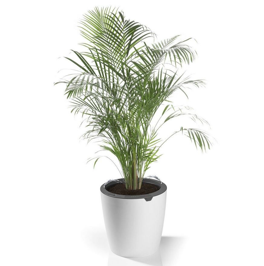 LAZY LEAF Blumentopf selbstgießend - 6,35 Liter - 32 cm für 13,49 ...