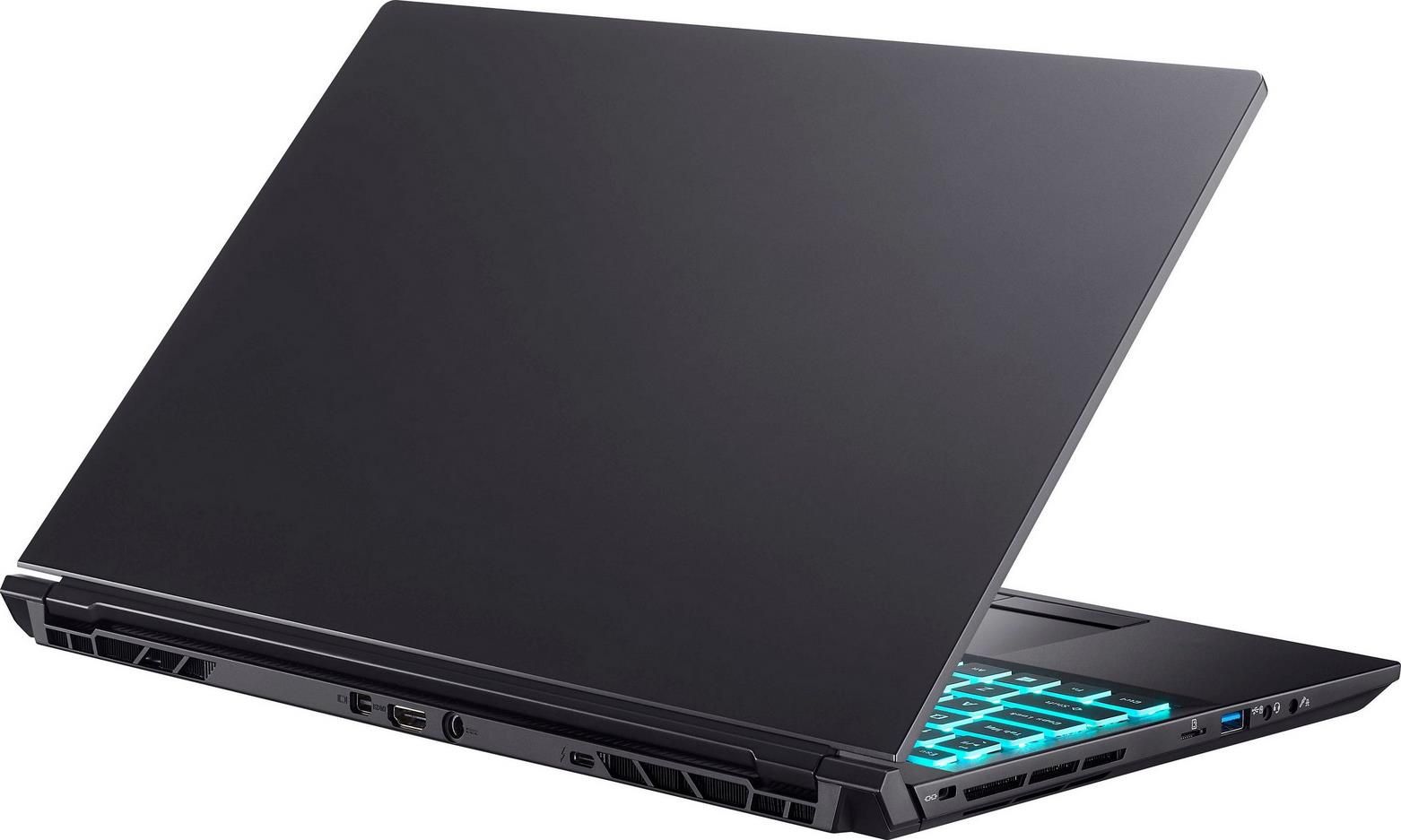 Hyrican Striker 1636 - 15,6 Zoll FHD Gaming-Notebook mit i7-10750H ...