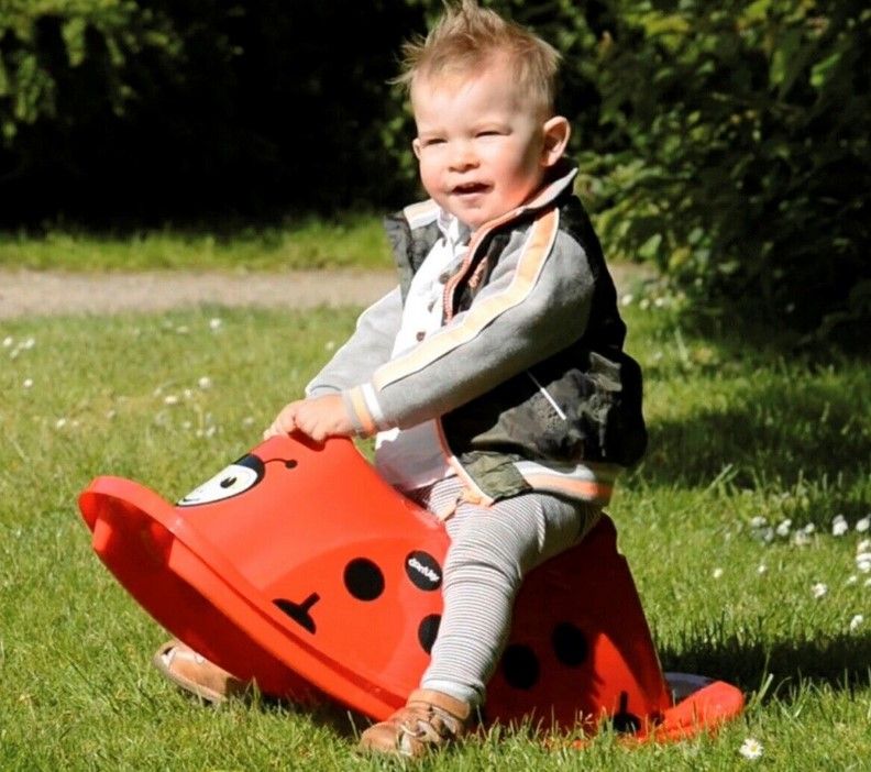 Dantoy Kinder-Wippe und Schaukeltier für je 9,99€ (statt 21€)