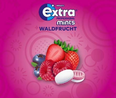 6 x 70er Pack Extra Mints Professional Waldfrucht Pastillen ab 9,64 ...