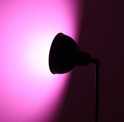 💡 6er Set tink Basics White & Color E27 Bulb mit Matter für 54,90 ...