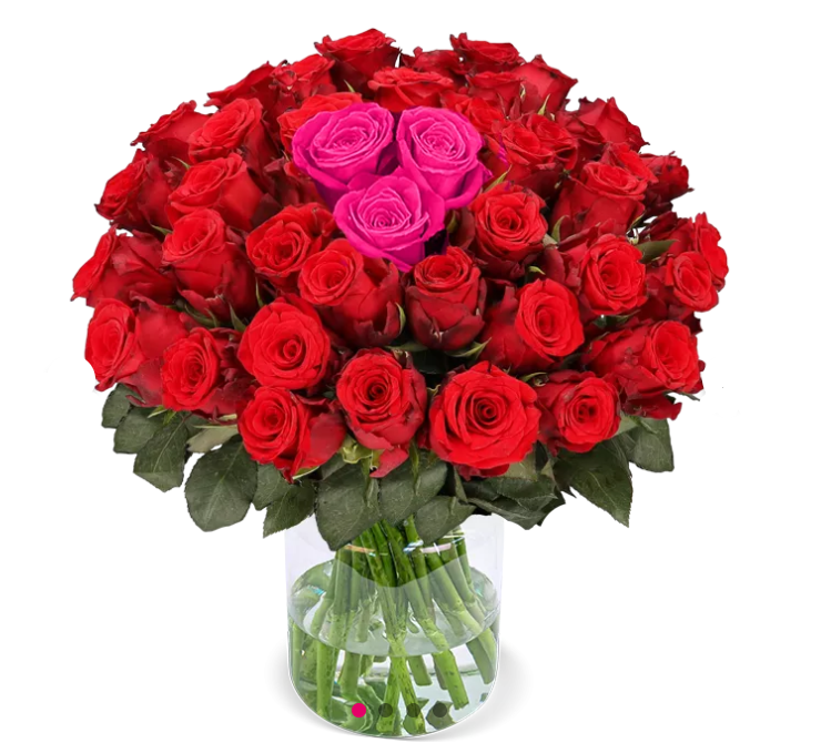 🌹Heartbeat Blumenstrauß: 51 rote Rosen für nur 37,48€